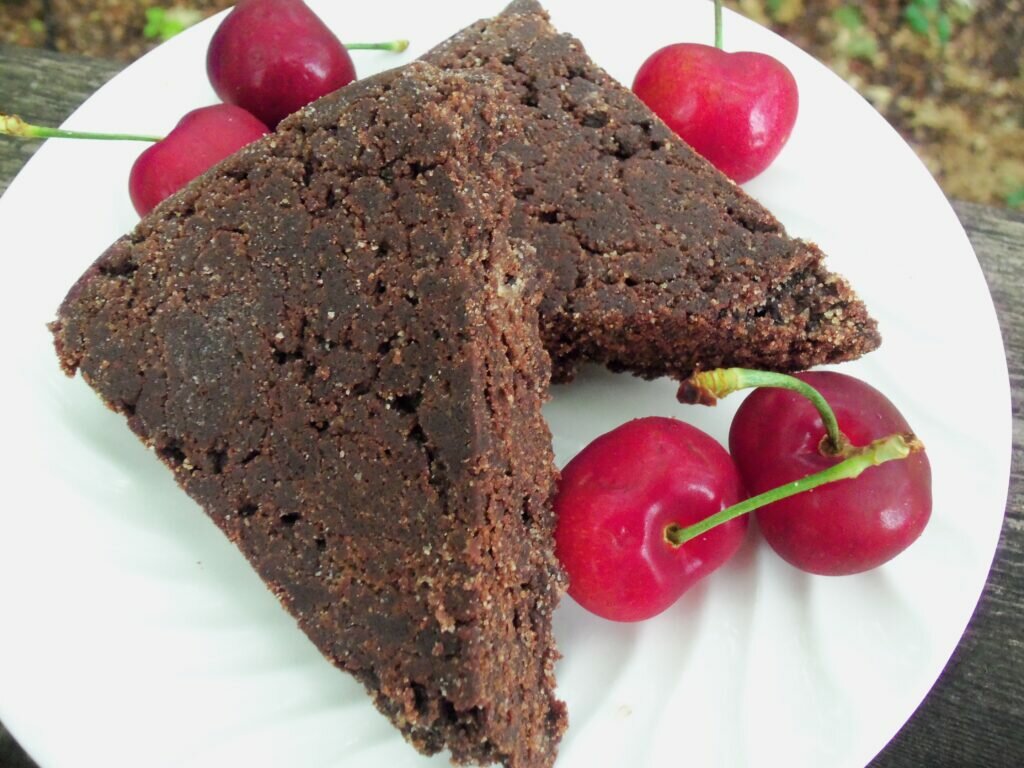 Guest Post: Purple Bird Blog Chocolatey Goodness — What Runs Lori